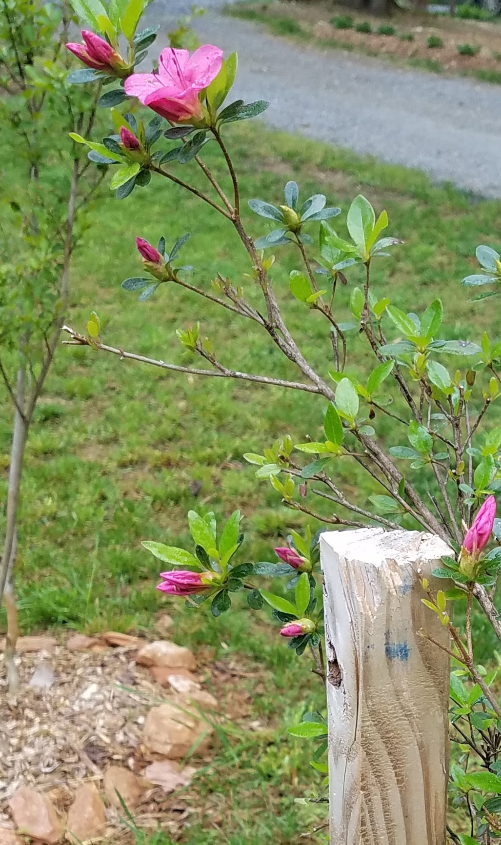 A Piece of My World Falling Apart | An Unboring Path